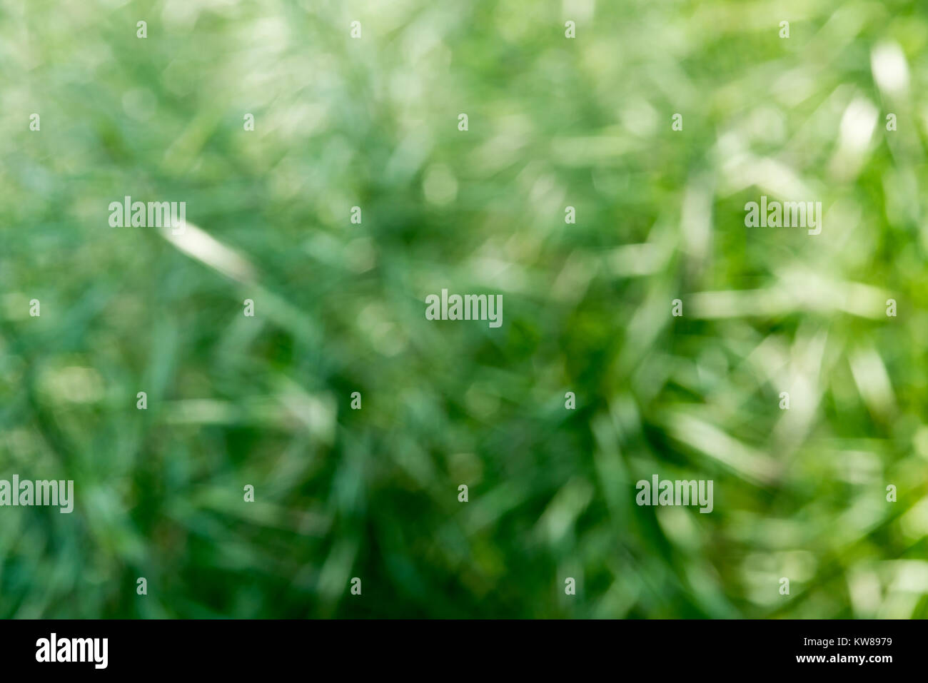 Out of focus from the nature for background Stock Photo - Alamy
