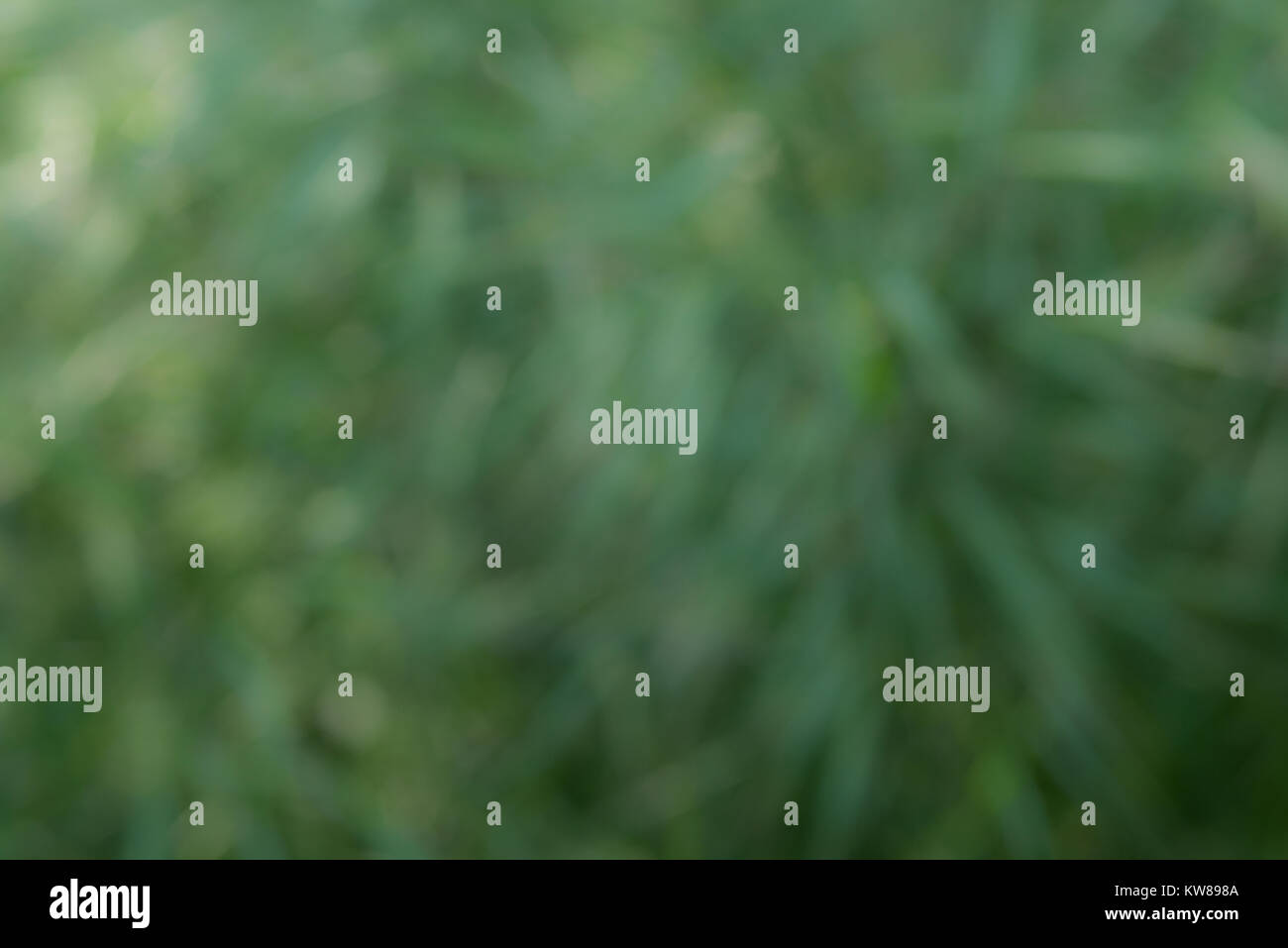Out of focus from the nature for background Stock Photo - Alamy
