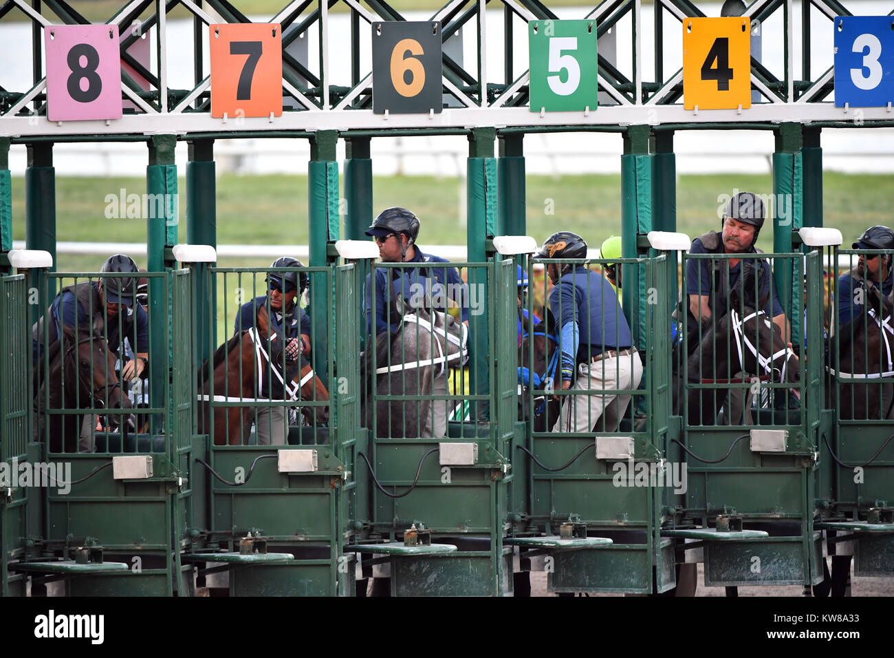 HALLANDALE, FL - APRIL 01: FILE PHOTO - Always Dreaming (#4) owned by ...