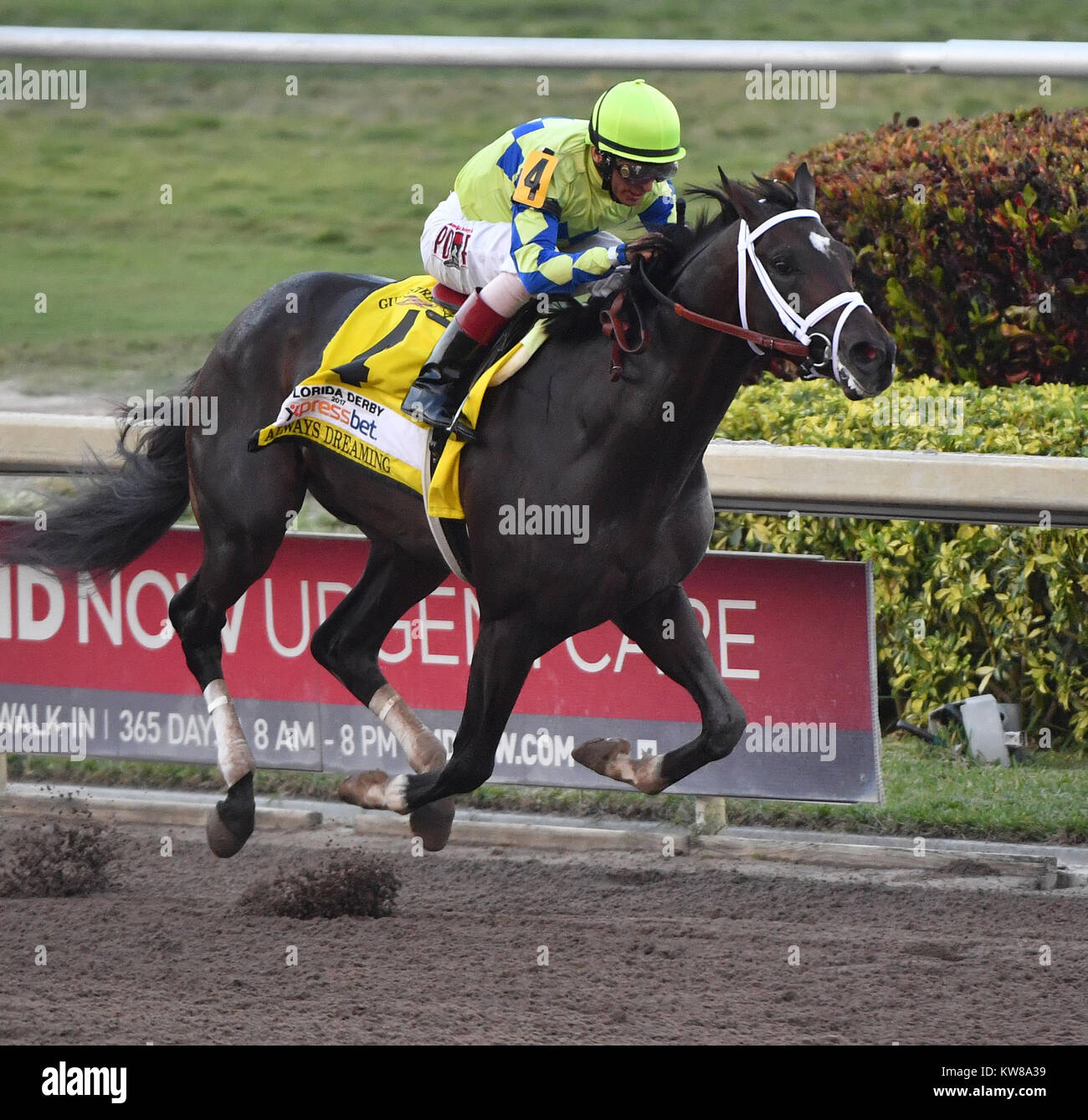HALLANDALE, FL - APRIL 01: FILE PHOTO - Always Dreaming (#4) owned by ...
