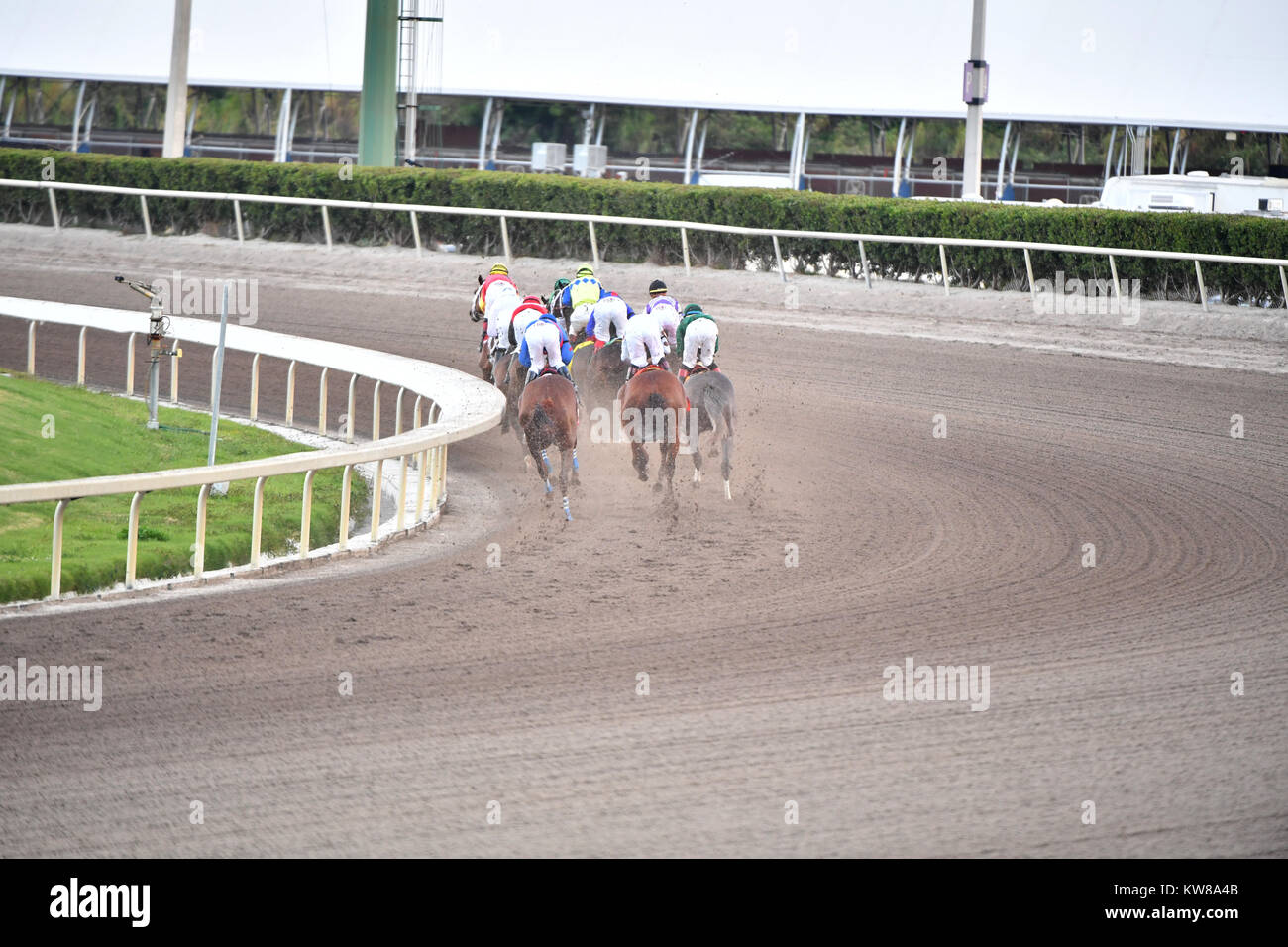 HALLANDALE, FL - APRIL 01: FILE PHOTO - Always Dreaming (#4) owned by ...