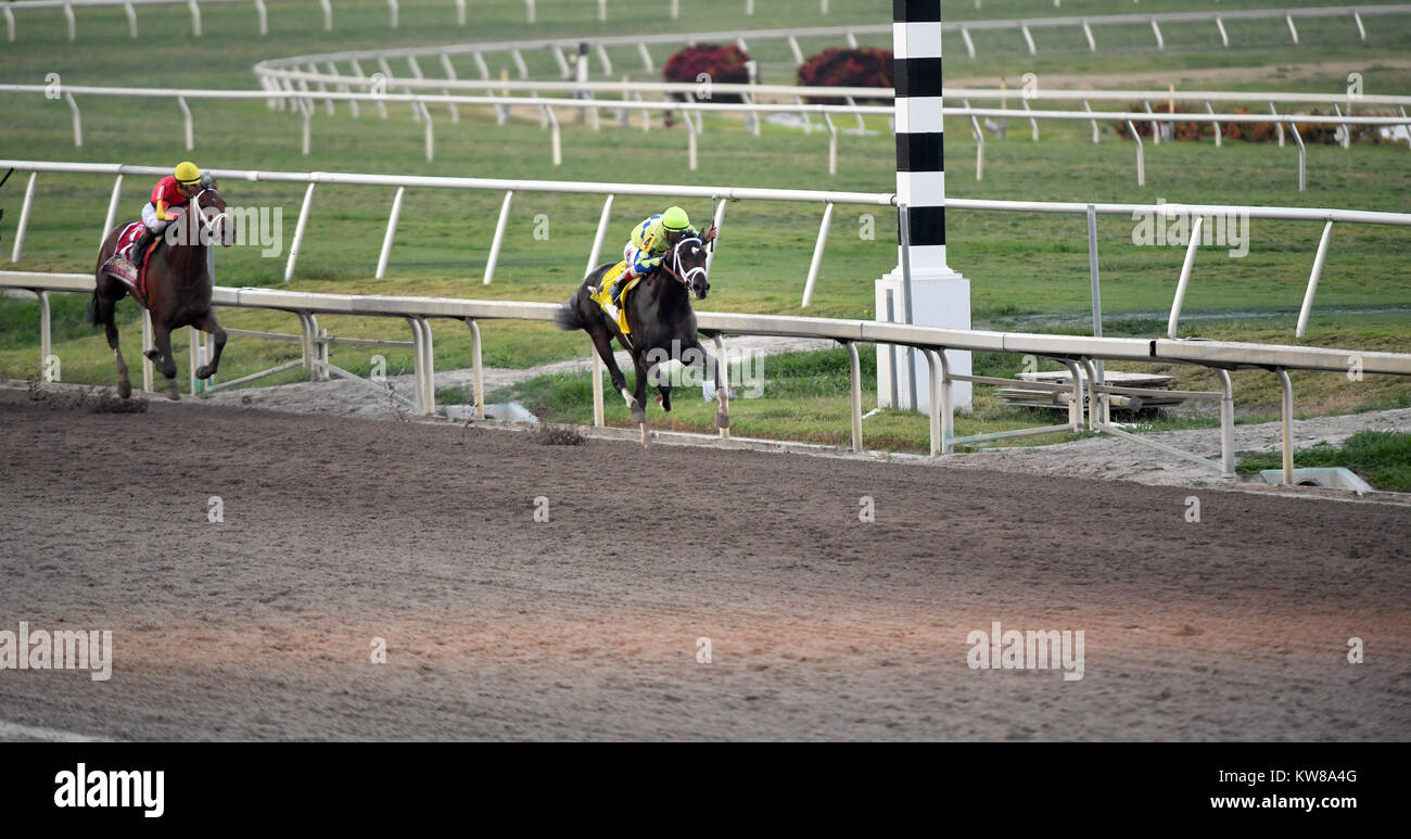 Number racing stables hi-res stock photography and images - Alamy