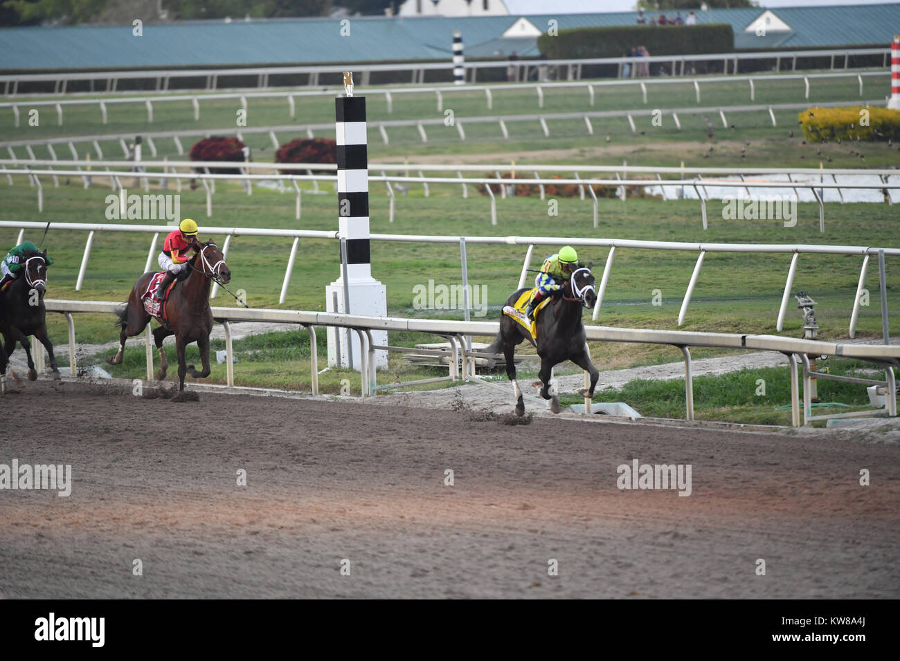 Brooklyn invitational hi-res stock photography and images - Alamy