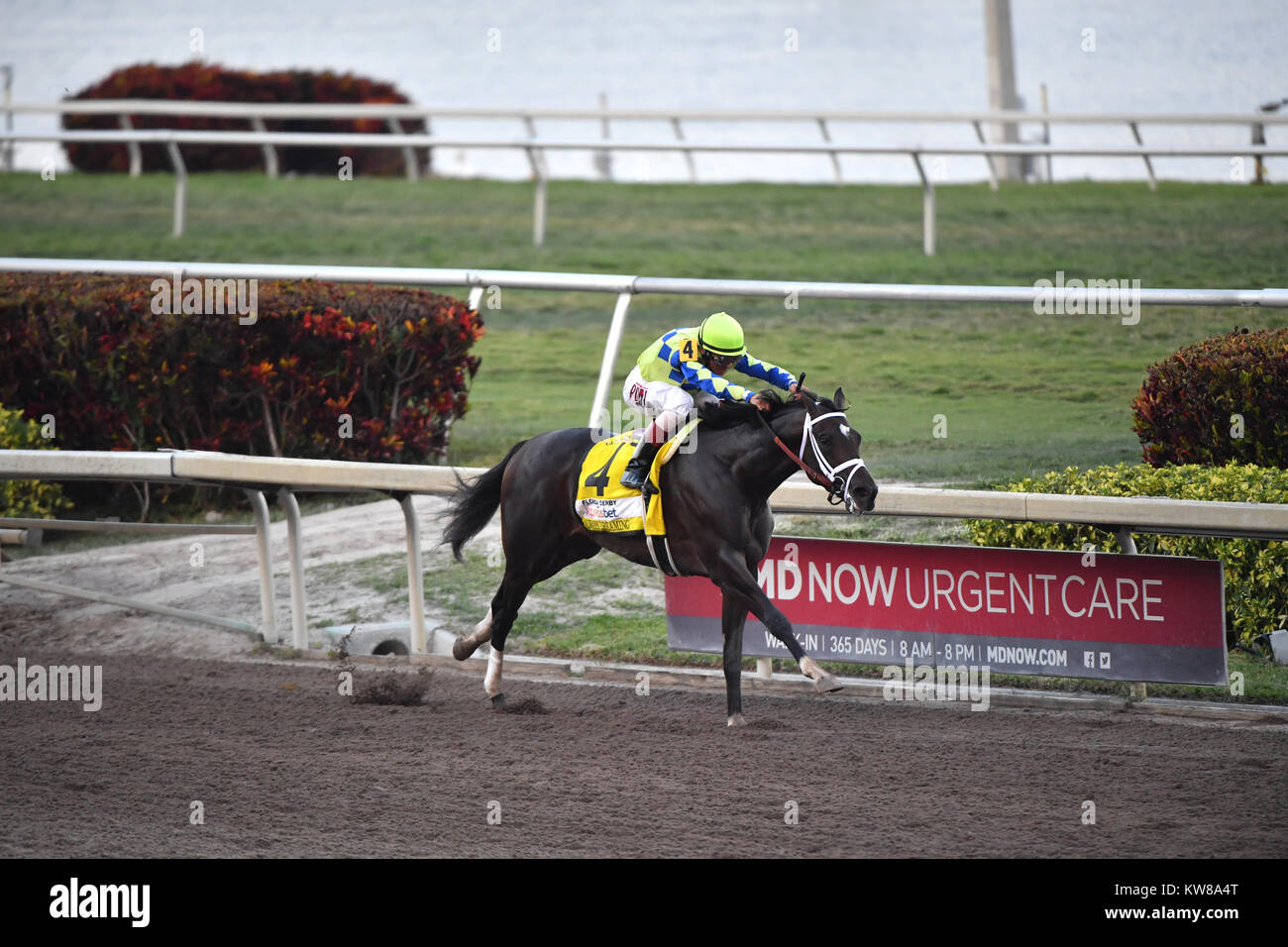 Brooklyn invitational hi-res stock photography and images - Alamy