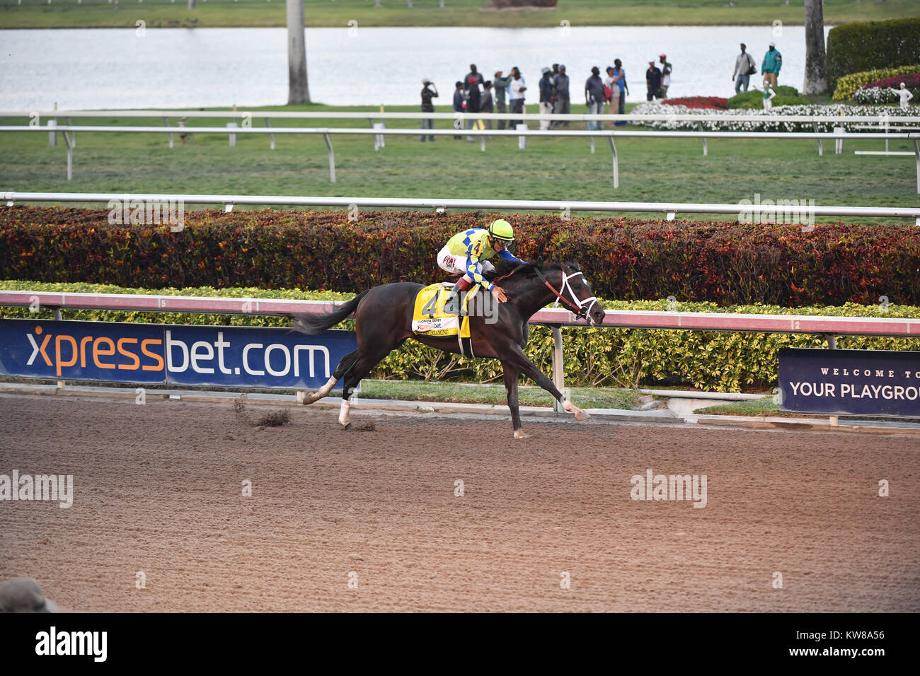 HALLANDALE, FL - APRIL 01: FILE PHOTO - Always Dreaming (#4) owned by ...