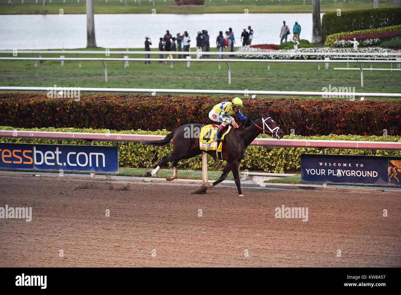 HALLANDALE, FL - APRIL 01: FILE PHOTO - Always Dreaming (#4) owned by ...