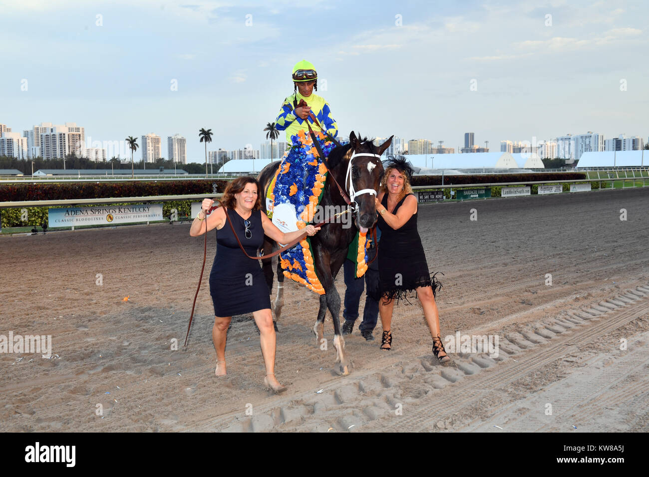 HALLANDALE, FL - APRIL 01: FILE PHOTO - Always Dreaming (#4) owned by ...