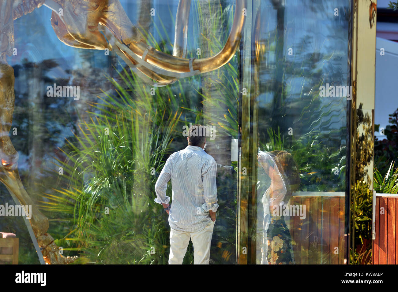 MIAMI BEACH, FL - MAY 14: David Hasselhoff and partner Hayley Roberts ...