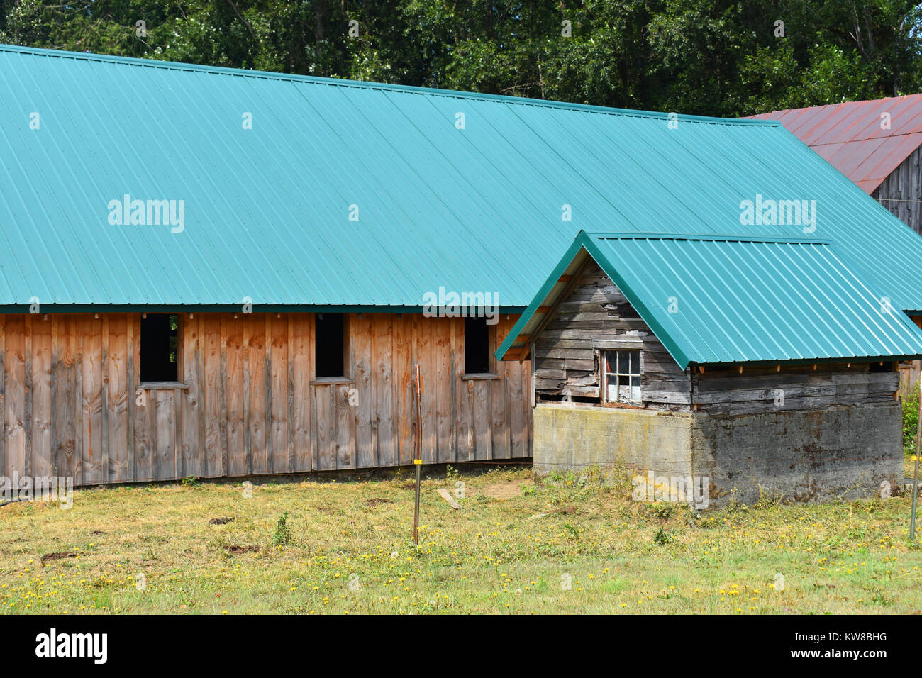 Historical barns on a very large farm in the Pacific Northwest ...