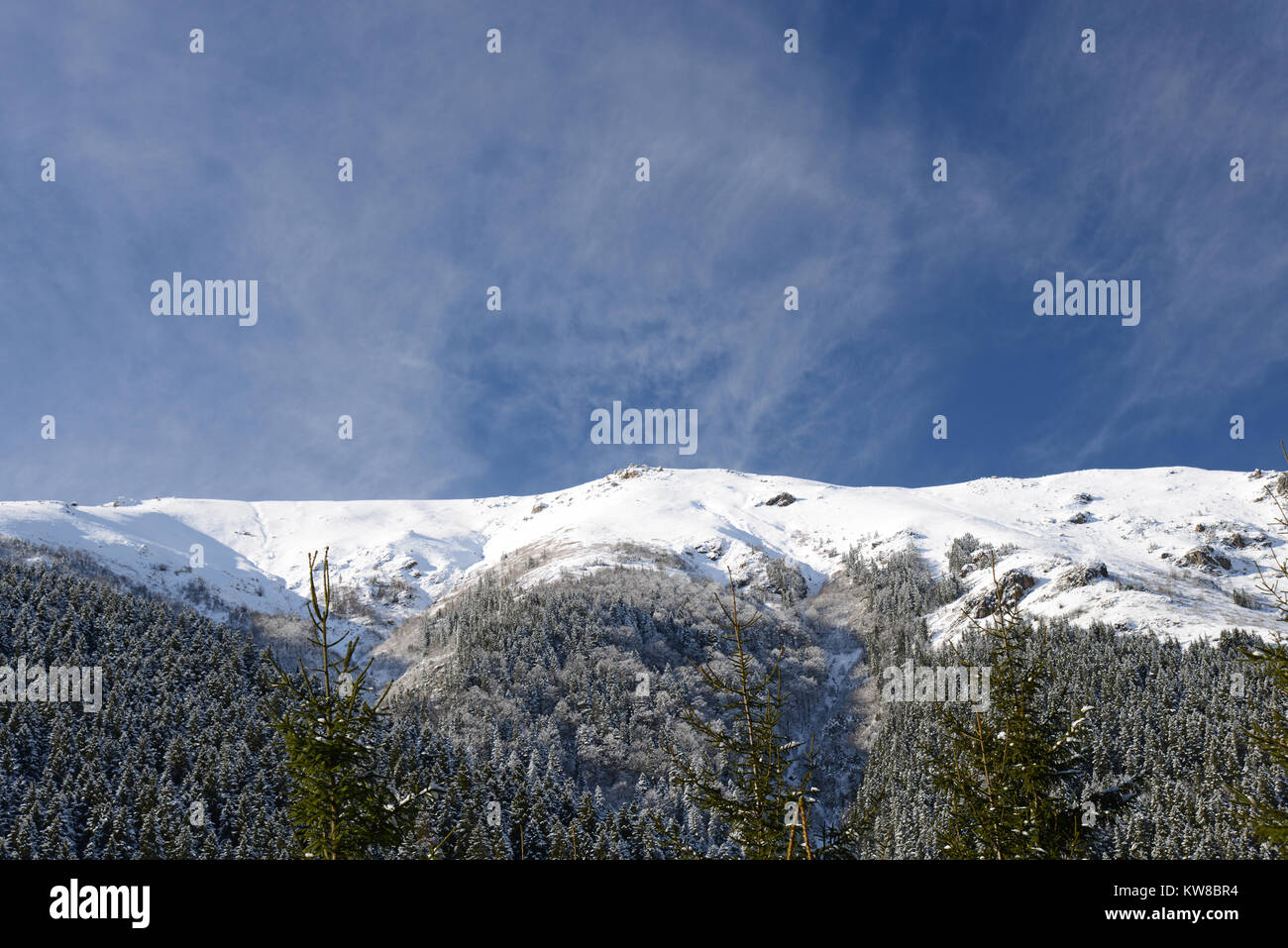 Winter on the plateau of Macka district of Trabzon province.Turkey ...