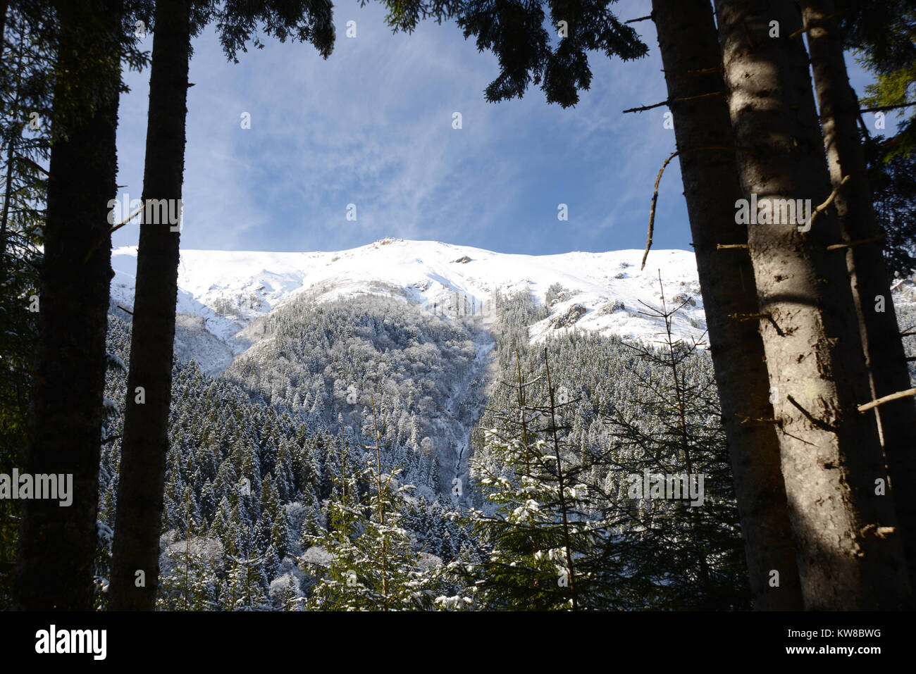 Winter on the plateau of Macka district of Trabzon province.Turkey ...
