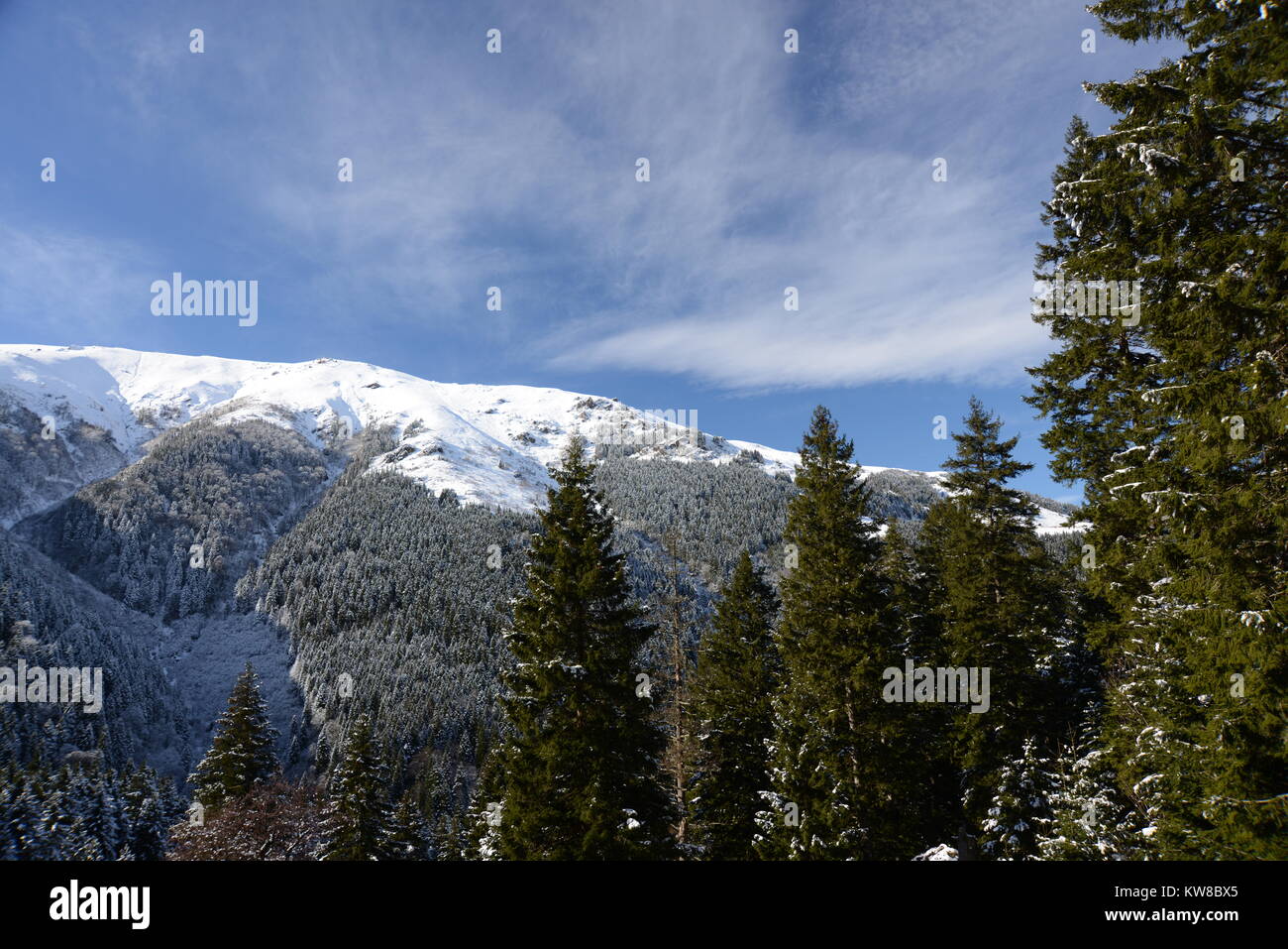 Winter on the plateau of Macka district of Trabzon province.Turkey ...