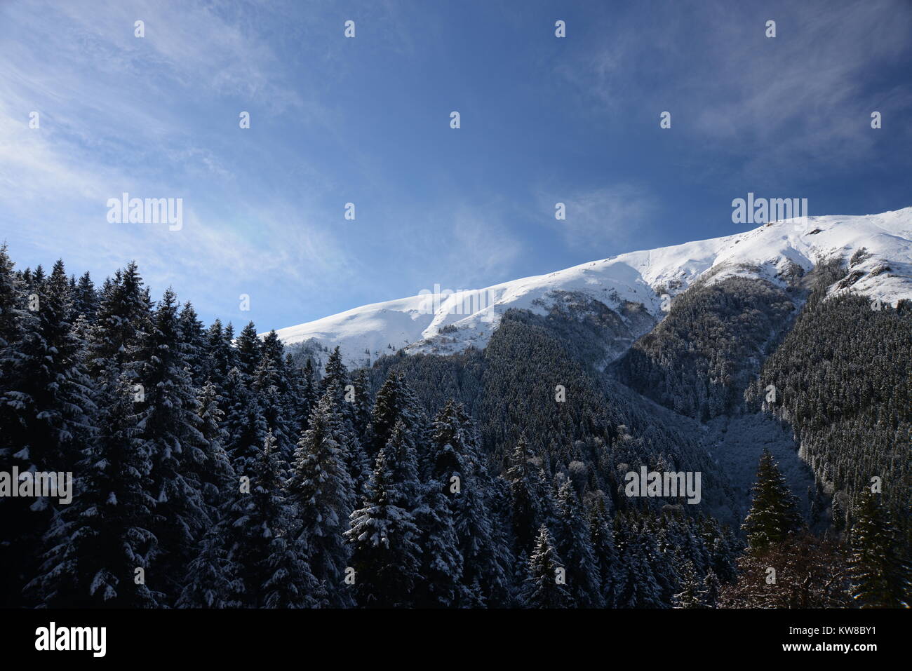 Winter on the plateau of Macka district of Trabzon province.Turkey ...