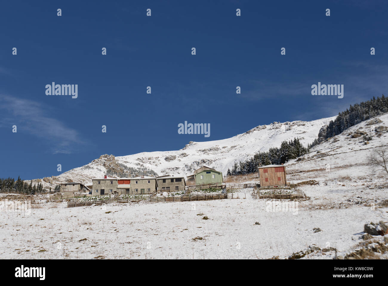 Winter on the plateau of Macka district of Trabzon province.Turkey ...