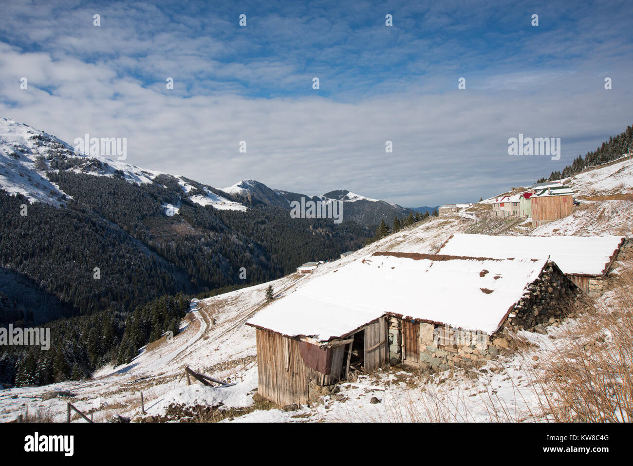 Winter on the plateau of Macka district of Trabzon province.Turkey ...