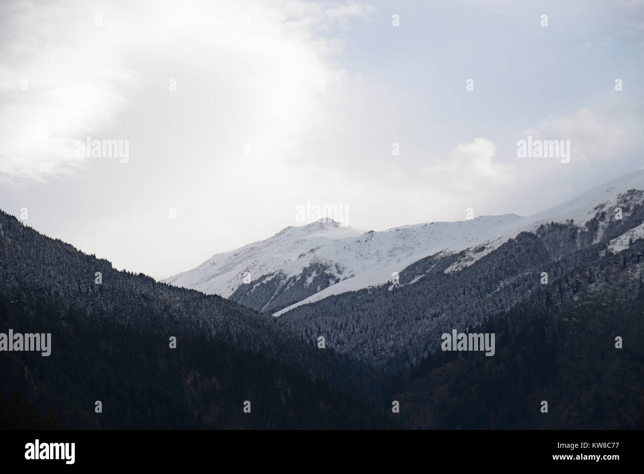 Winter on the plateau of Macka district of Trabzon province.Turkey ...
