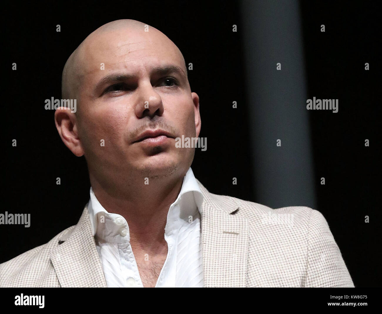 MIAMI BEACH, FL - APRIL 19: Pitbull speaks at Emerge Americas at the ...
