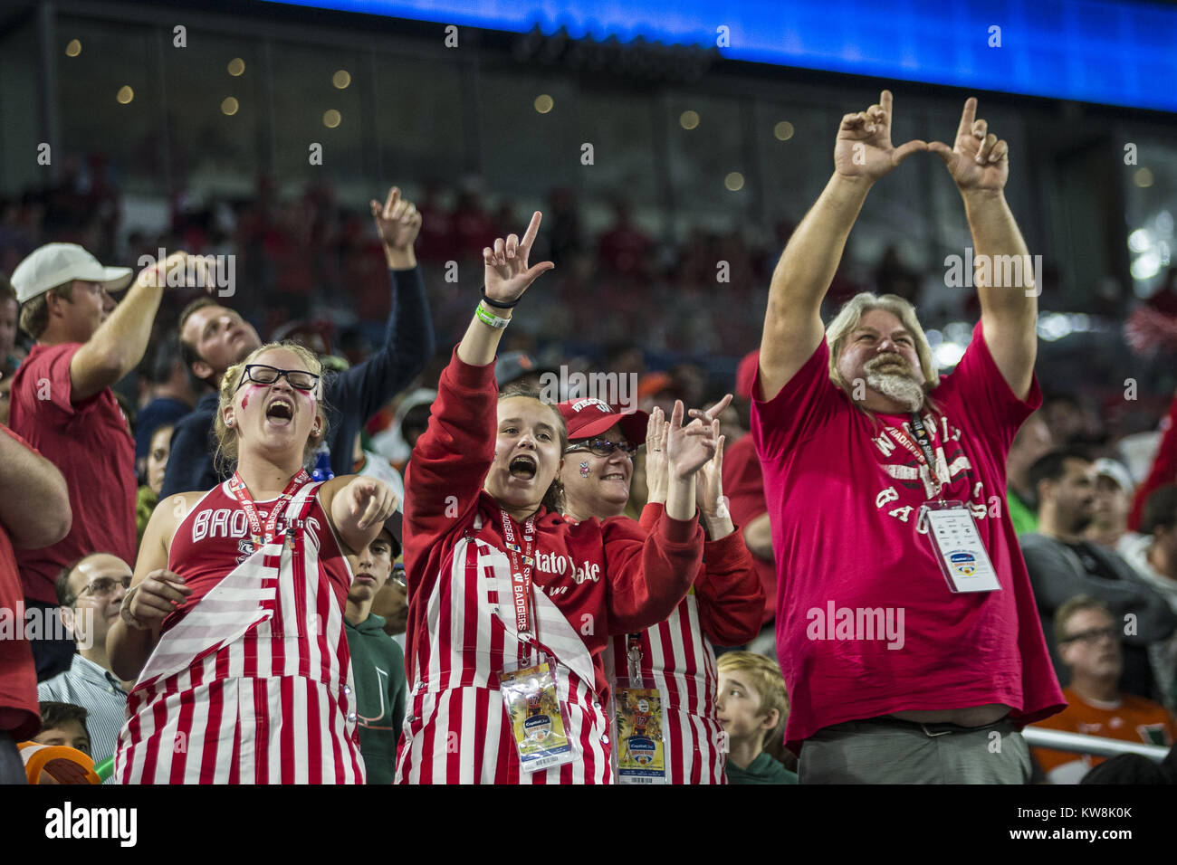 Rock badgers hi-res stock photography and images - Alamy