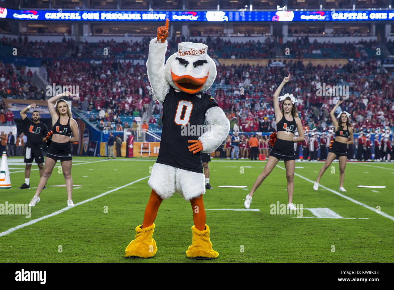 Miami hurricanes hi-res stock photography and images - Alamy