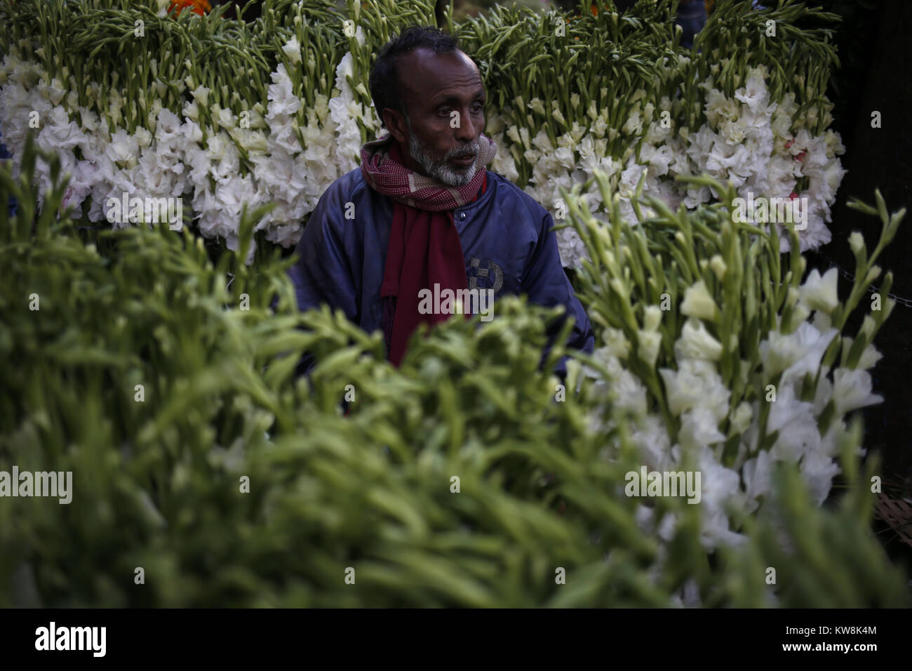 Dhaka flower hi-res stock photography and images - Alamy