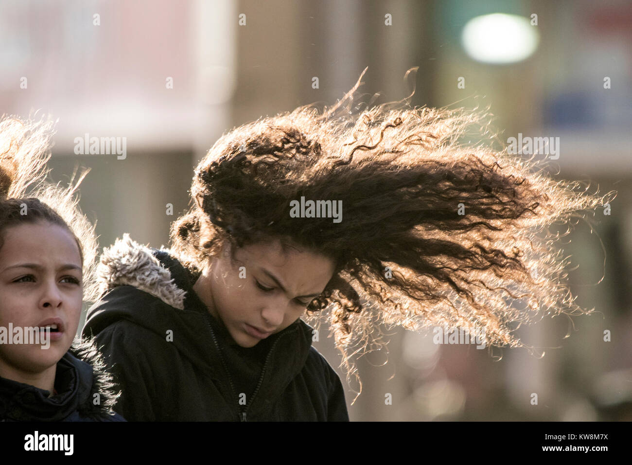 wind,hair,windswept,bad hair day,wind blown hair,long hair,female,face ...