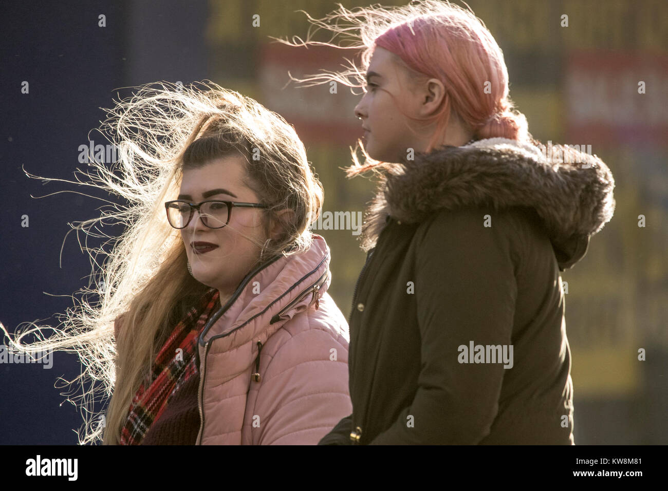 wind,hair,windswept,bad hair day,wind blown hair,long hair,female,face ...