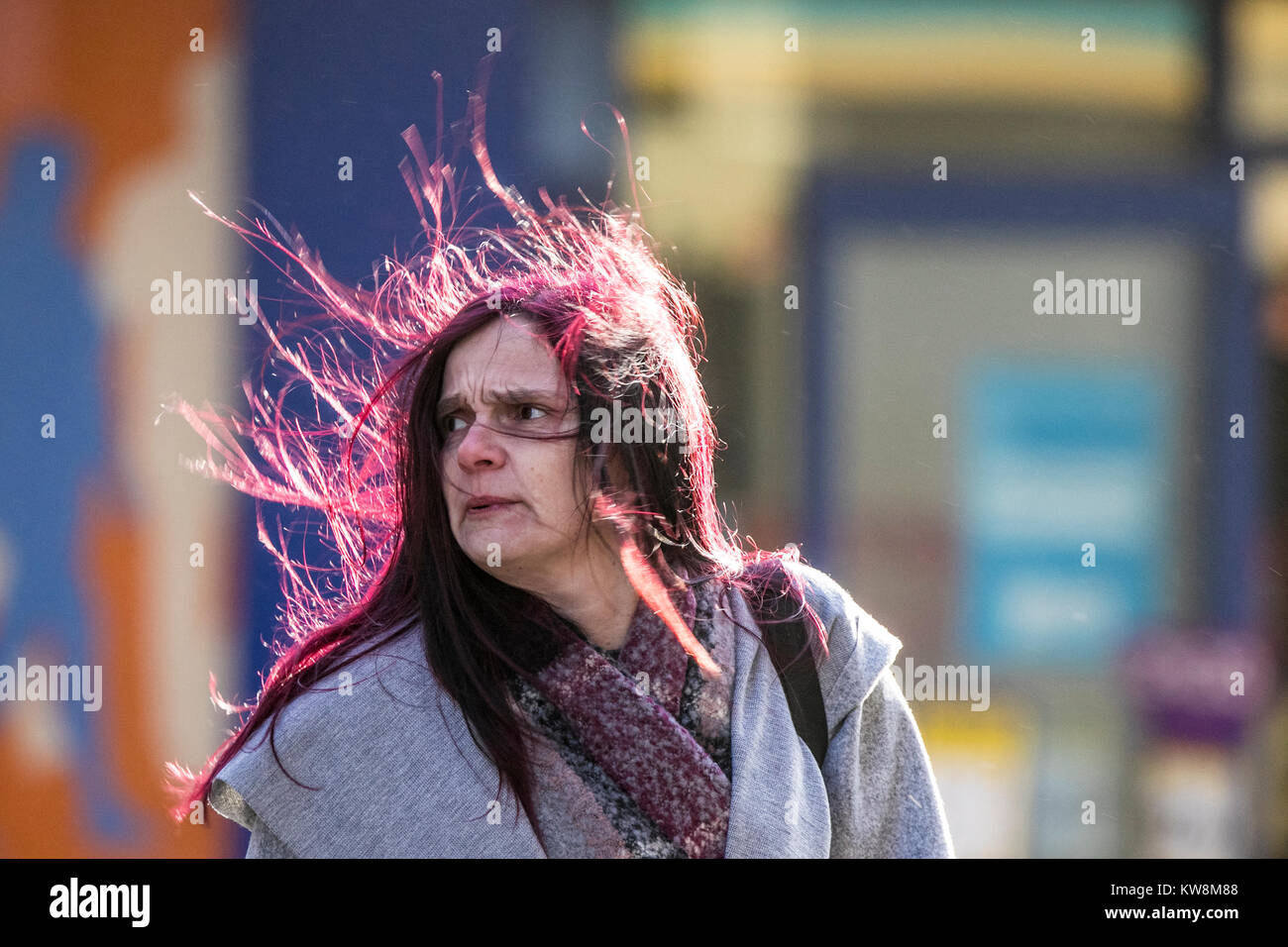 wind,hair,windswept,bad hair day,wind blown hair,long hair,female,face ...