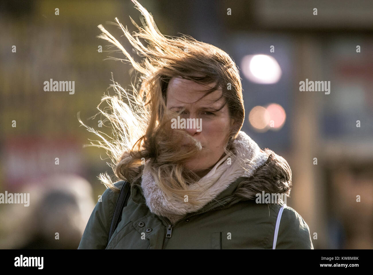 Woman on a windswept bad hair day blown, long hair, female face, head ...