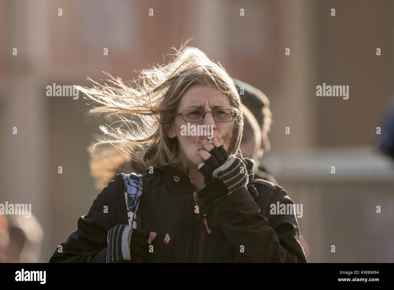 wind,hair,windswept,bad hair day,wind blown hair,long hair,female,face ...