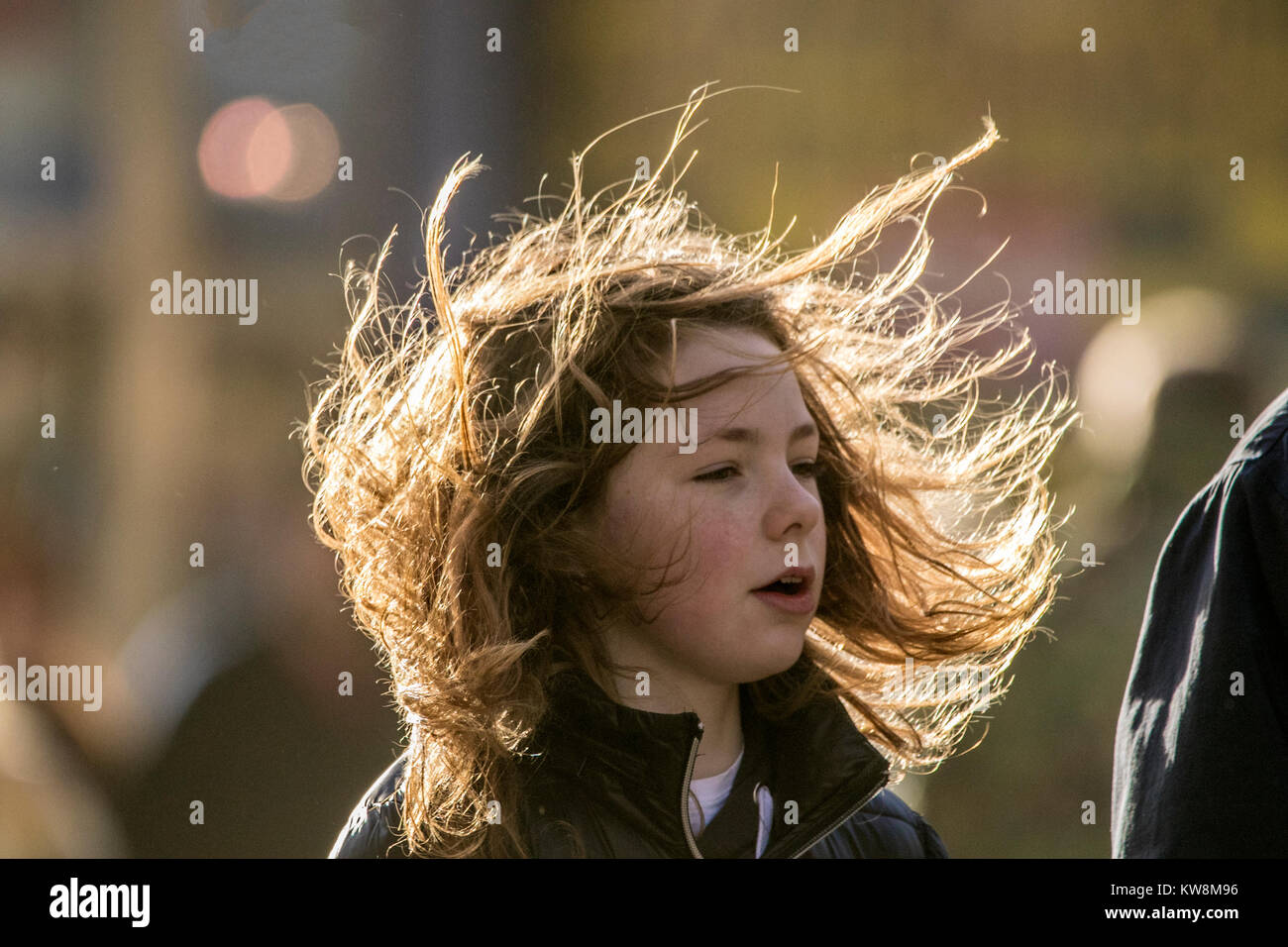 wind,hair,windswept,bad hair day,wind blown hair,long hair,female,face ...