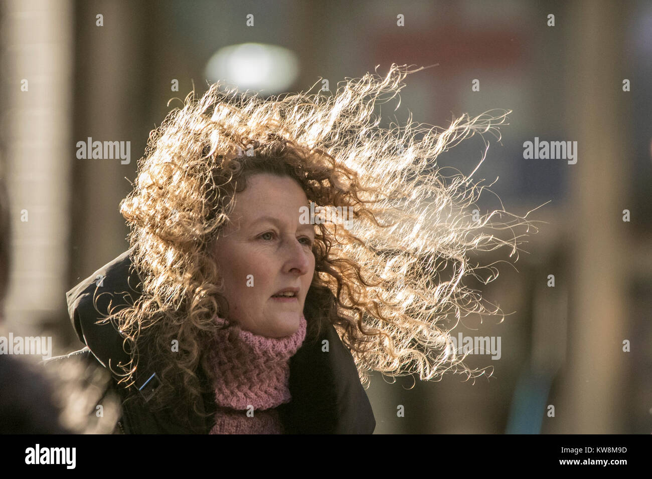 wind,hair,windswept,bad hair day,wind blown hair,long hair,female,face ...