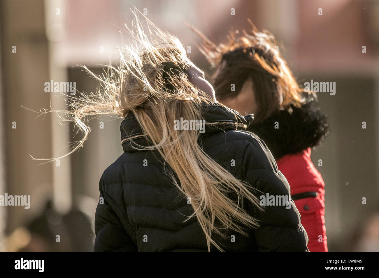 wind,hair,windswept,bad hair day,wind blown hair,long hair,female,face ...