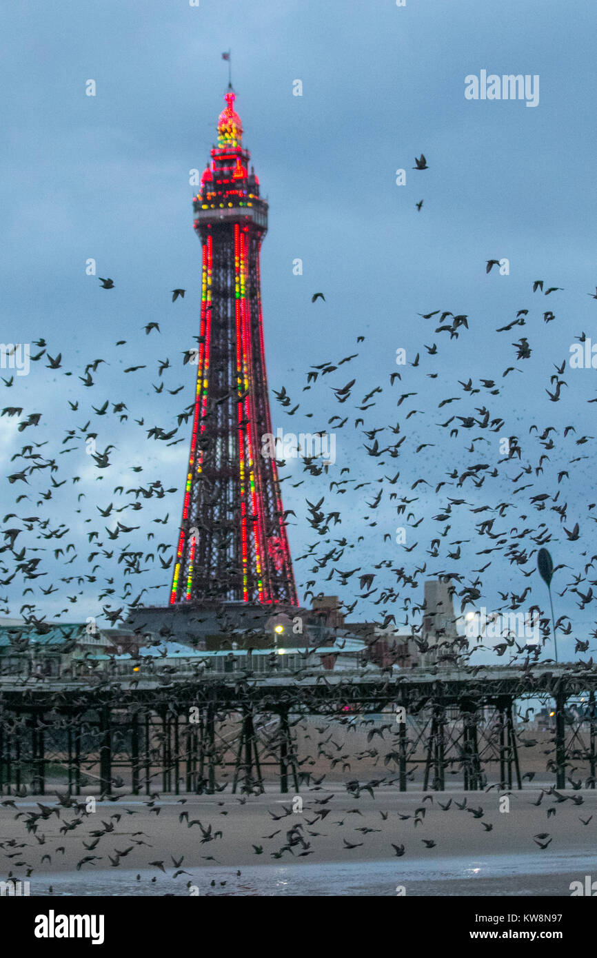Blackpool tower in silhouette hi-res stock photography and images - Alamy