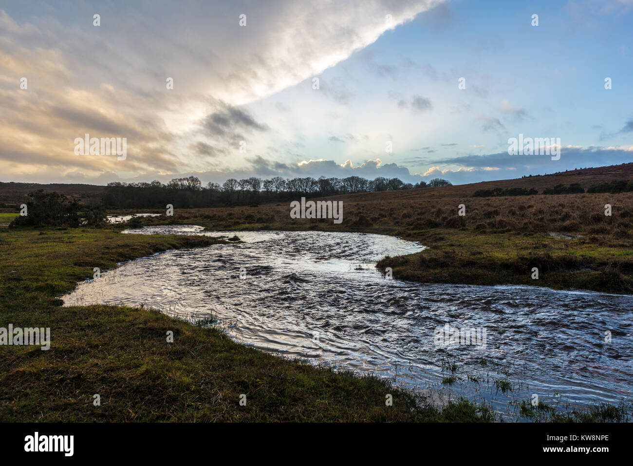 Winding new forest stream hi-res stock photography and images - Alamy