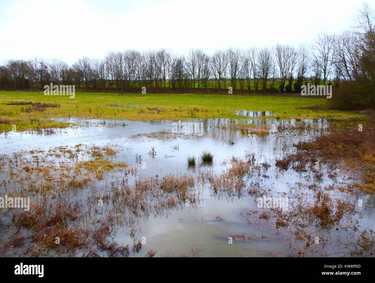 Bedfordshire, UK. 31st December, 2017. Low lying Bedfordshire has ...