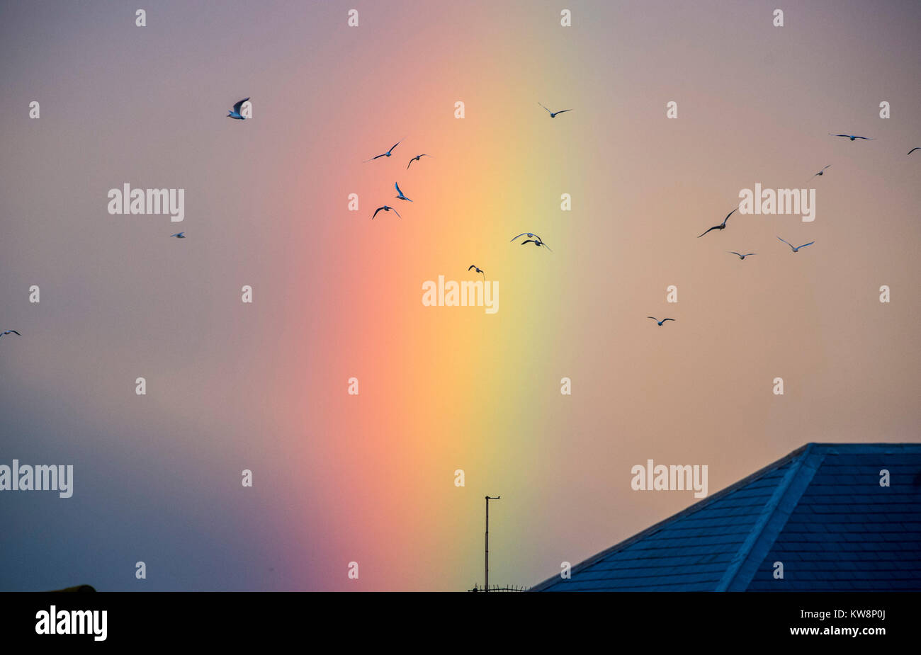 Lancing near Brighton, UK. 31st Dec, 2017. Seagulls fly across a ...