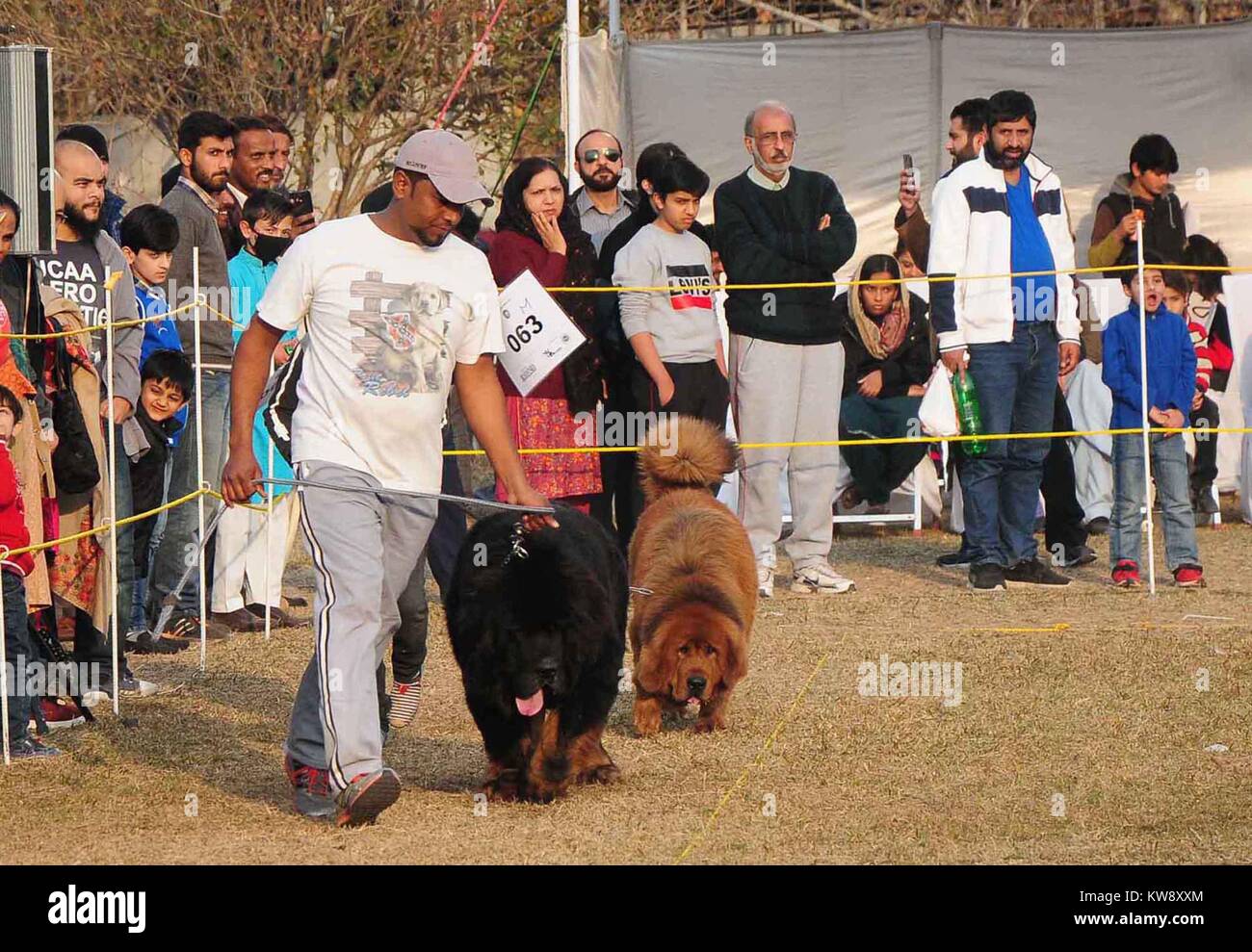 Dogs' Show is being organized at Convention Center of Islamabad for pet ...