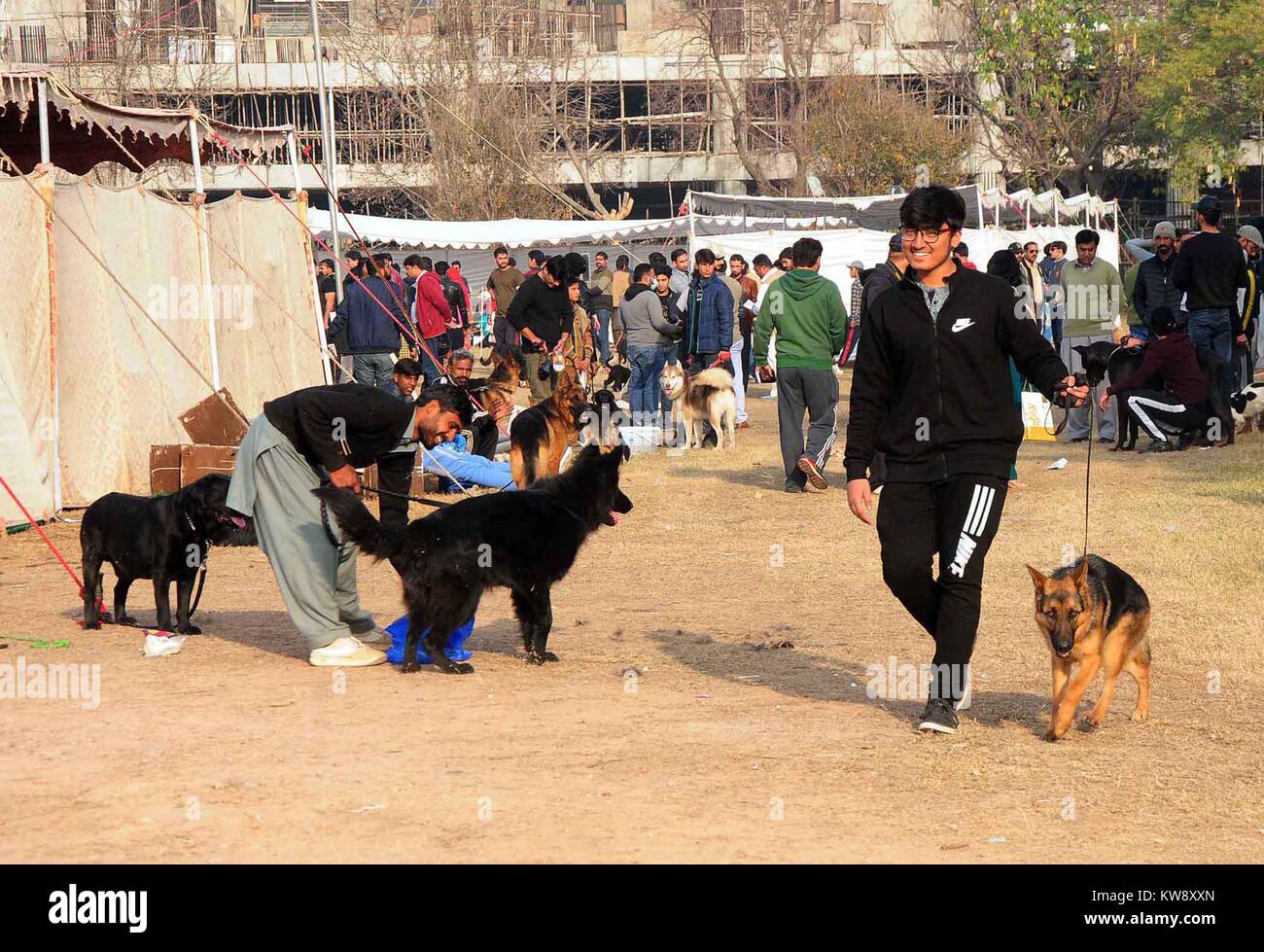 Dogs' Show is being organized at Convention Center of Islamabad for pet ...
