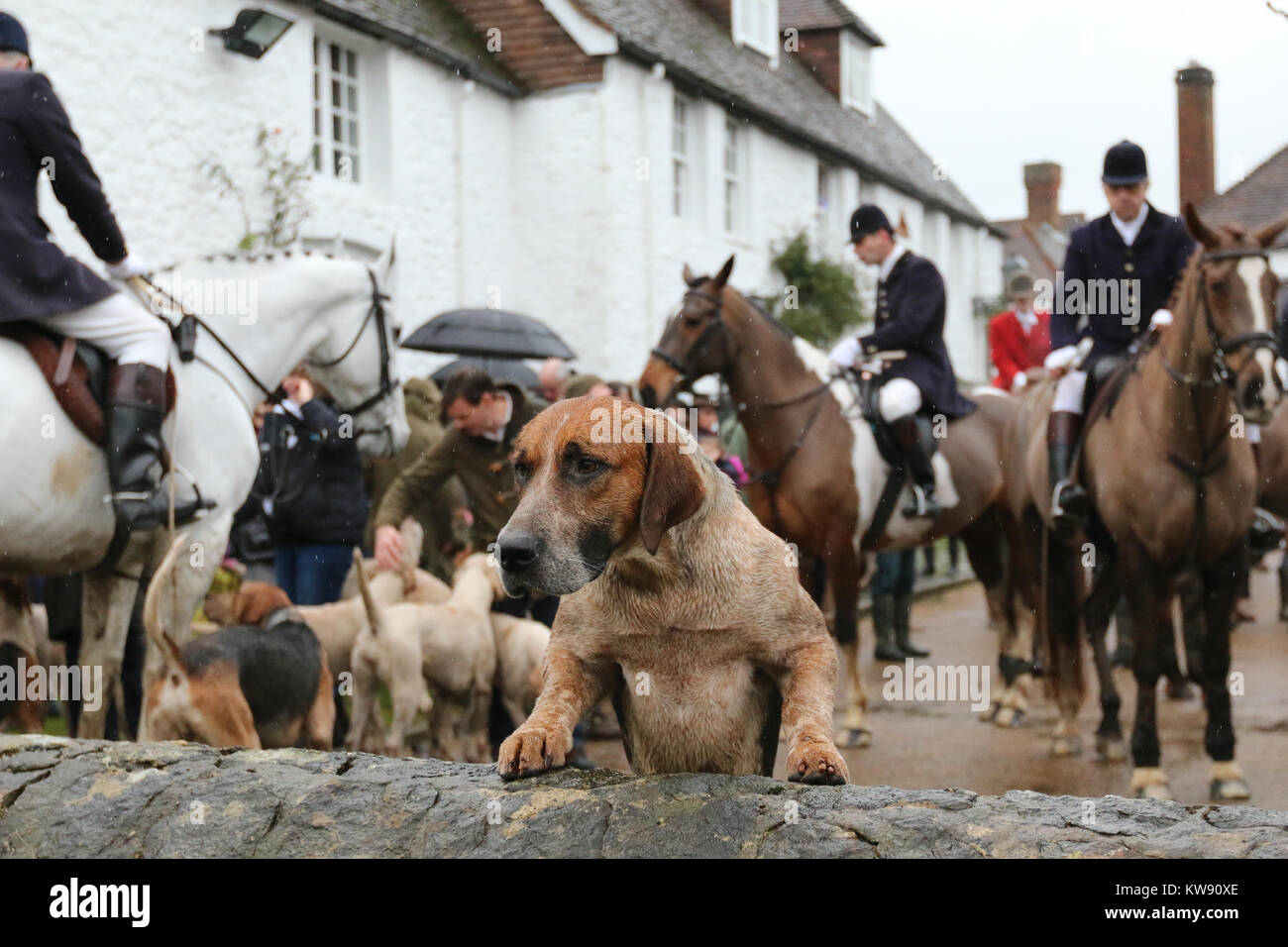 Midhurst, West Sussex, UK. 1st Jan, 2018. The Chiddingfold, Leconfield ...