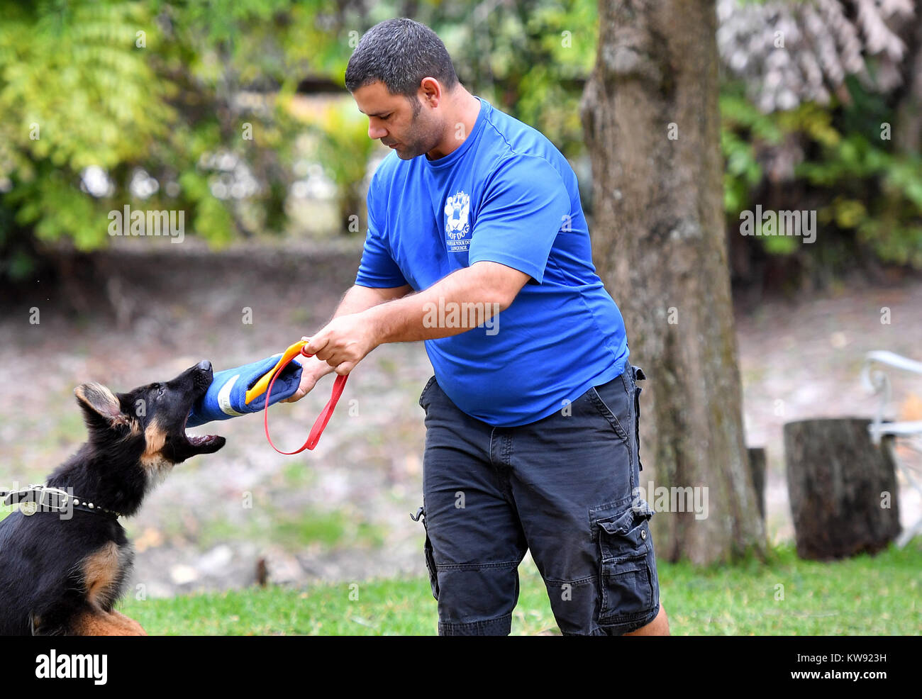 Shay maimoni hi-res stock photography and images - Alamy