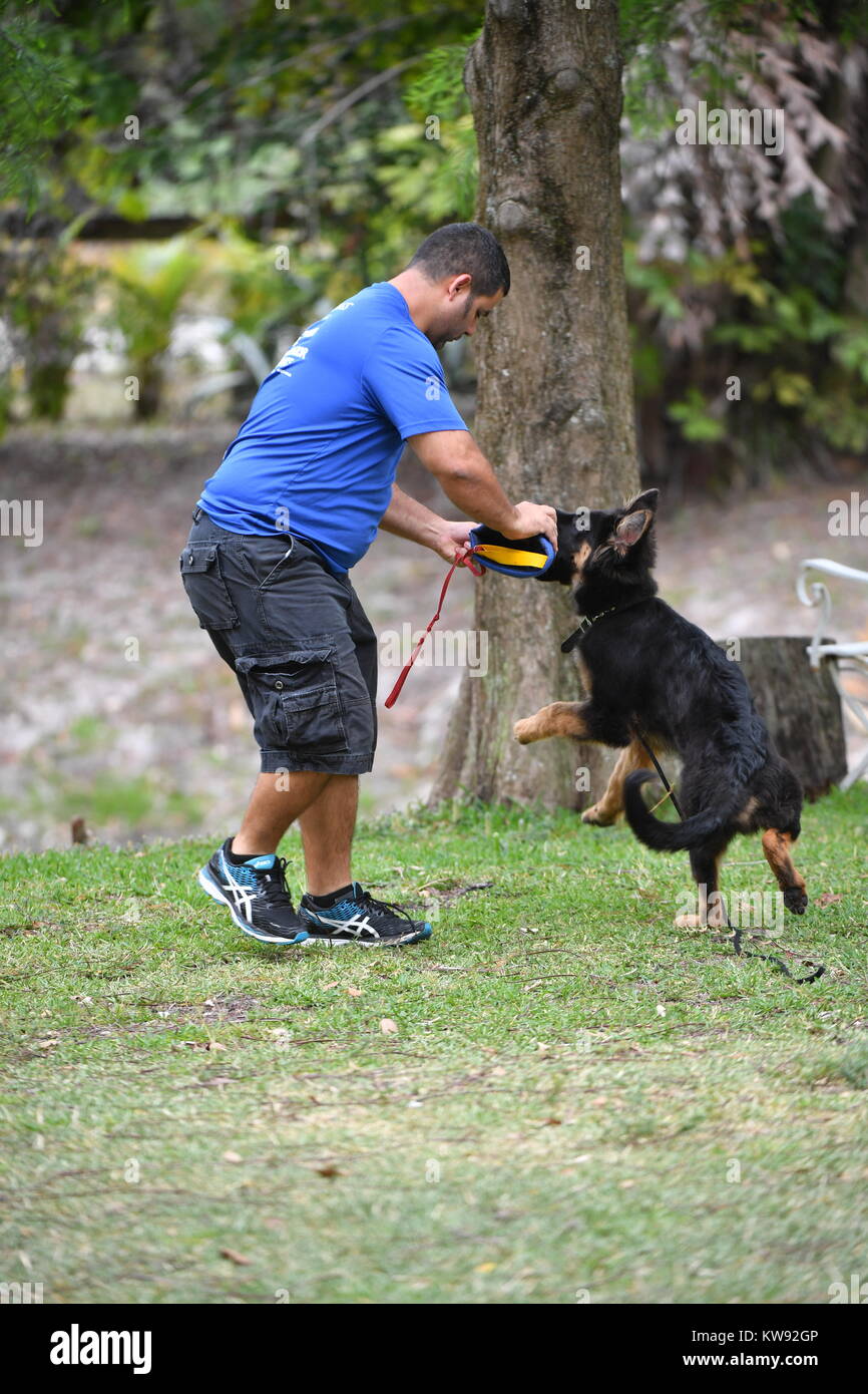LOXAHATCHEE, FL - APRIL 17: Rocco Model Dog #RoccoModelDog under goes his first assignment as an ...