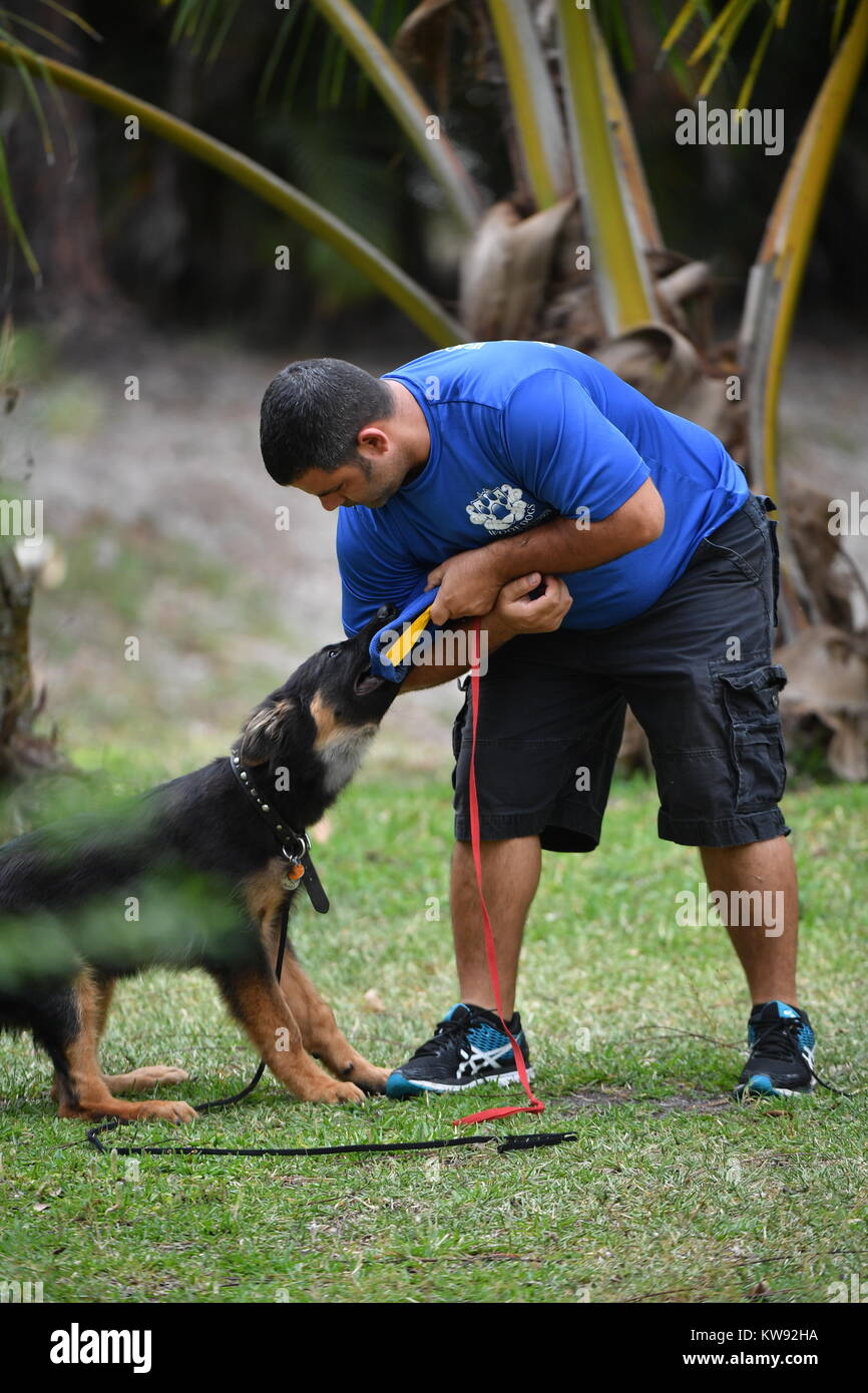 LOXAHATCHEE, FL - APRIL 17: Rocco Model Dog #RoccoModelDog under goes his first assignment as an ...