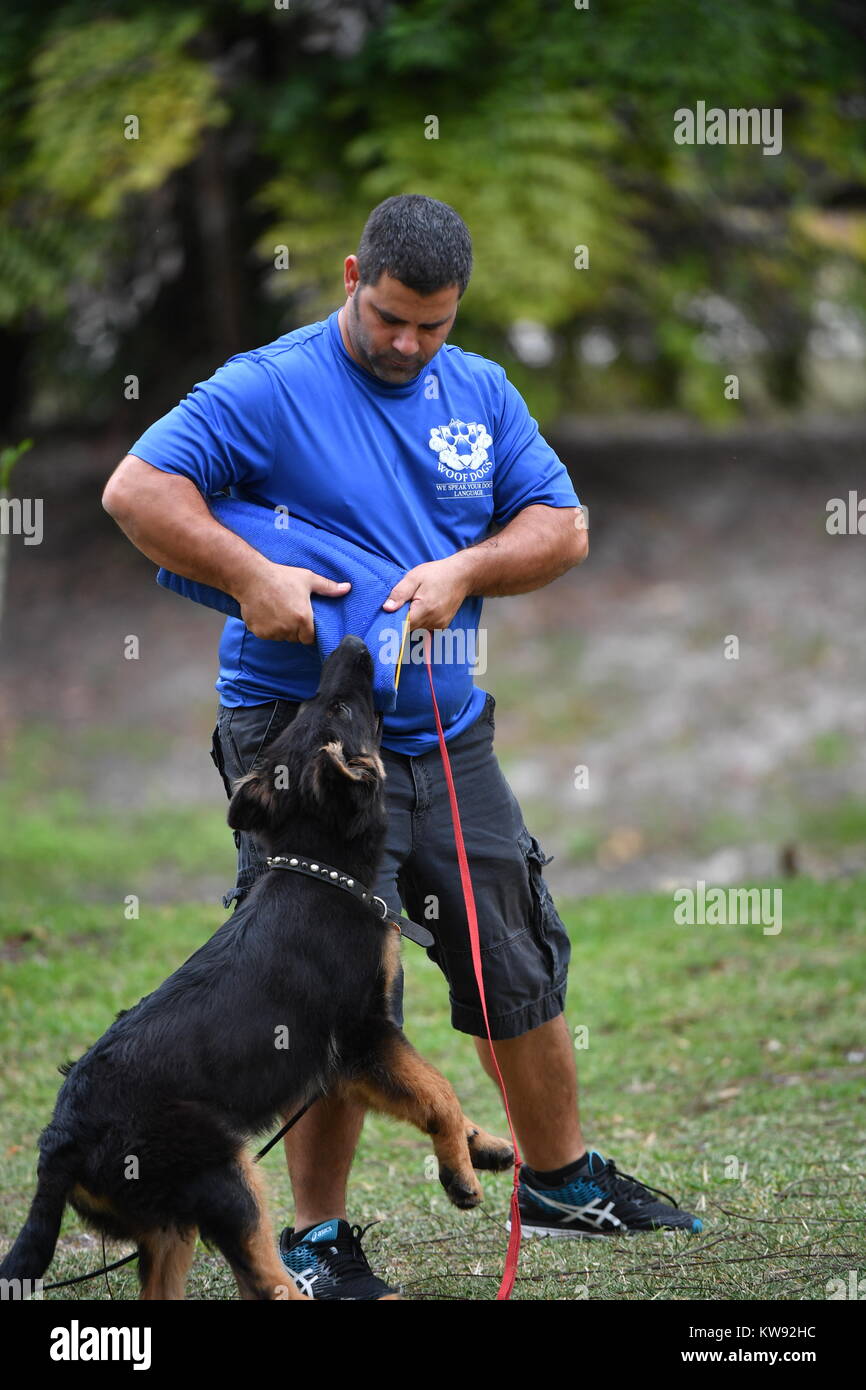 Shay maimoni hi-res stock photography and images - Alamy