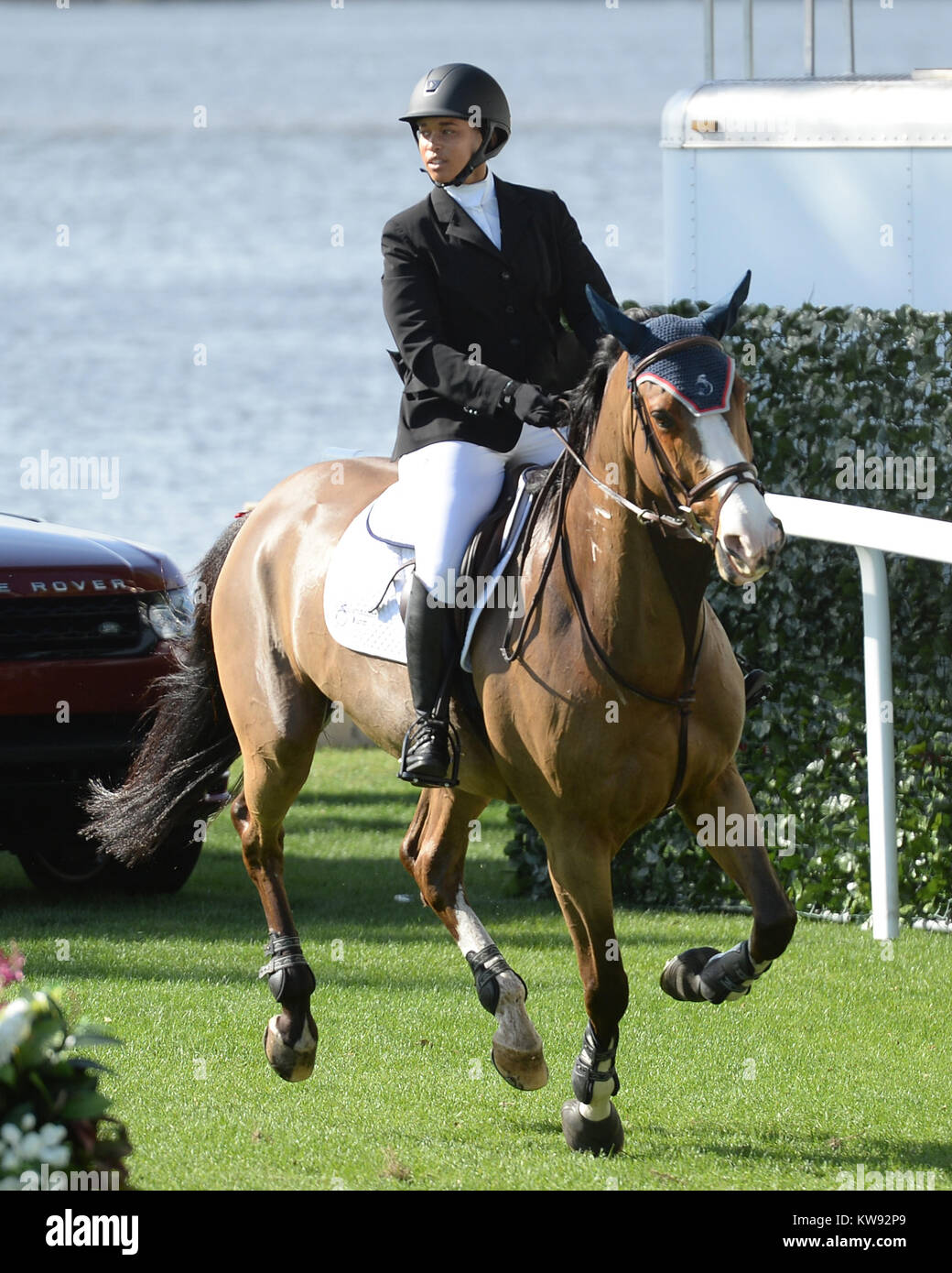 Paige johnson horse hi-res stock photography and images - Alamy