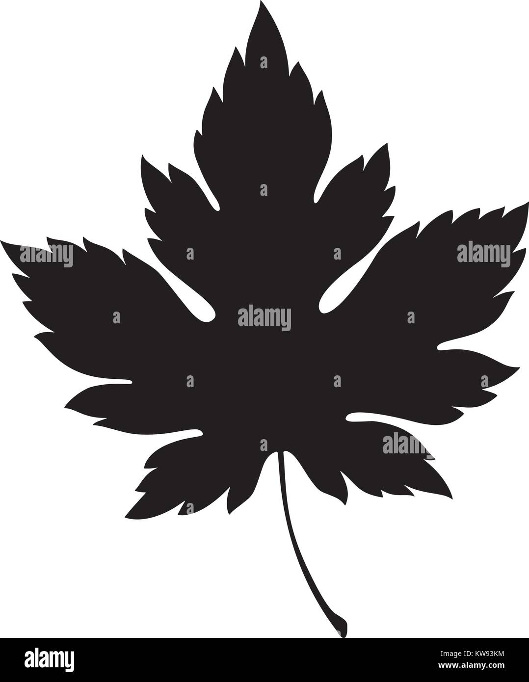 Maple silhouette, Vector illustration Stock Vector Image & Art - Alamy
