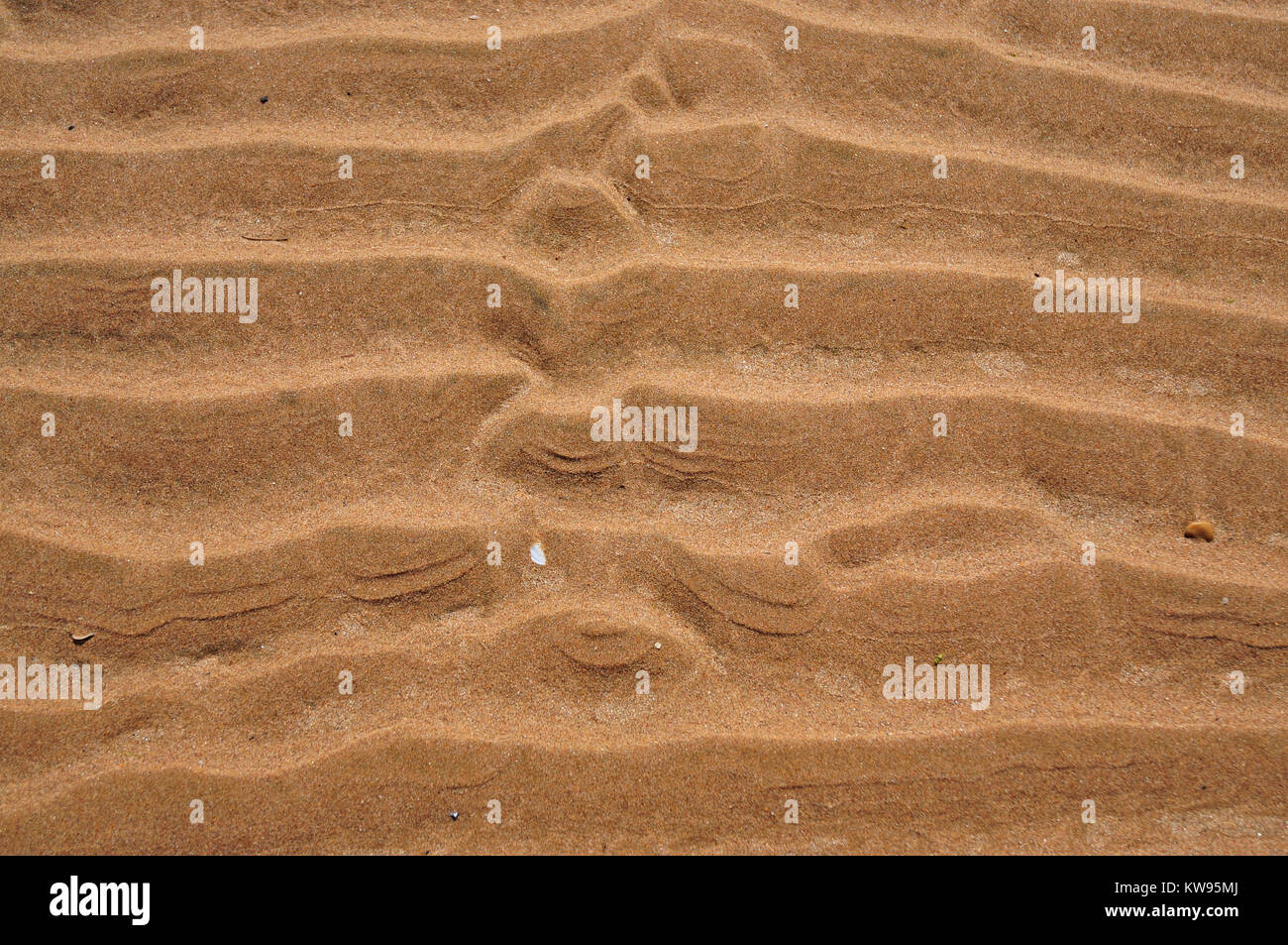 Sand detail for background Stock Photo - Alamy