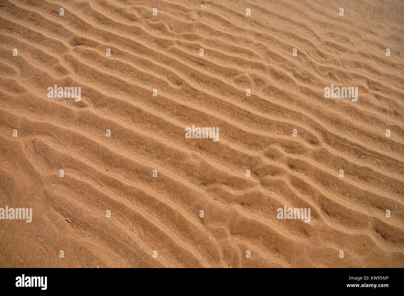 Sand detail for background Stock Photo - Alamy