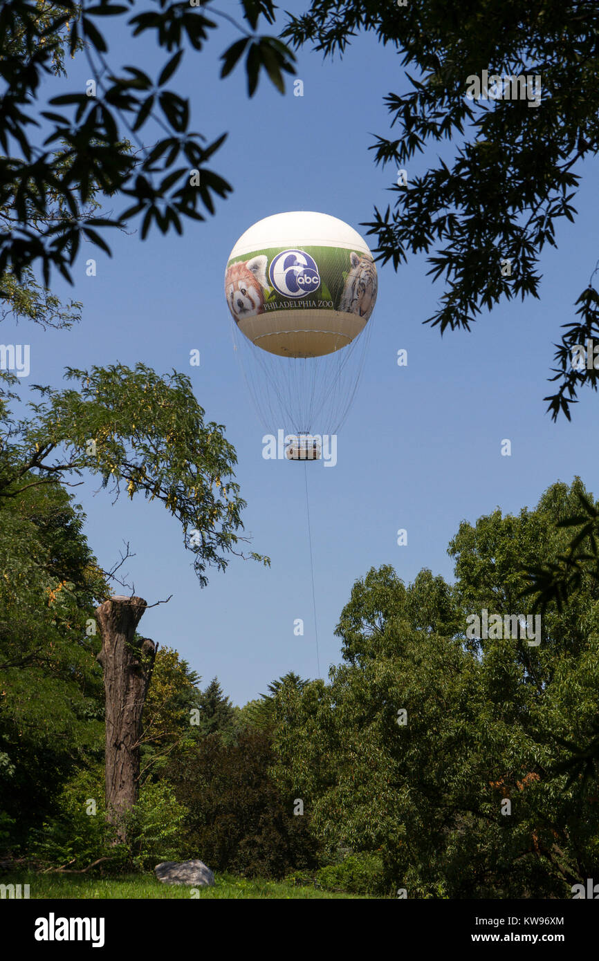 The 6abc Zooballoon (a popular tourist attraction) rising over the ...