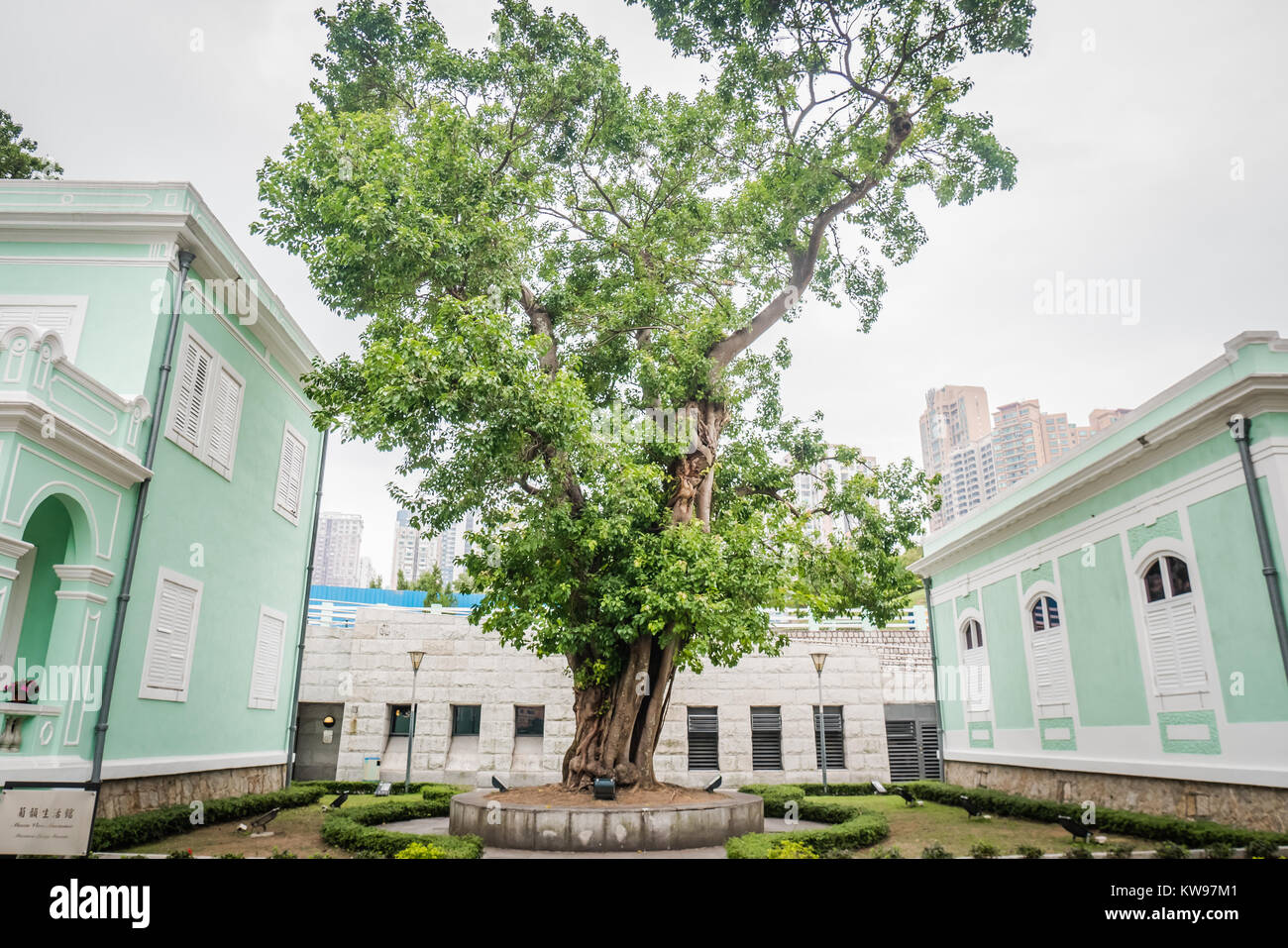 macau taipa houses museum tourist attraction Stock Photo - Alamy