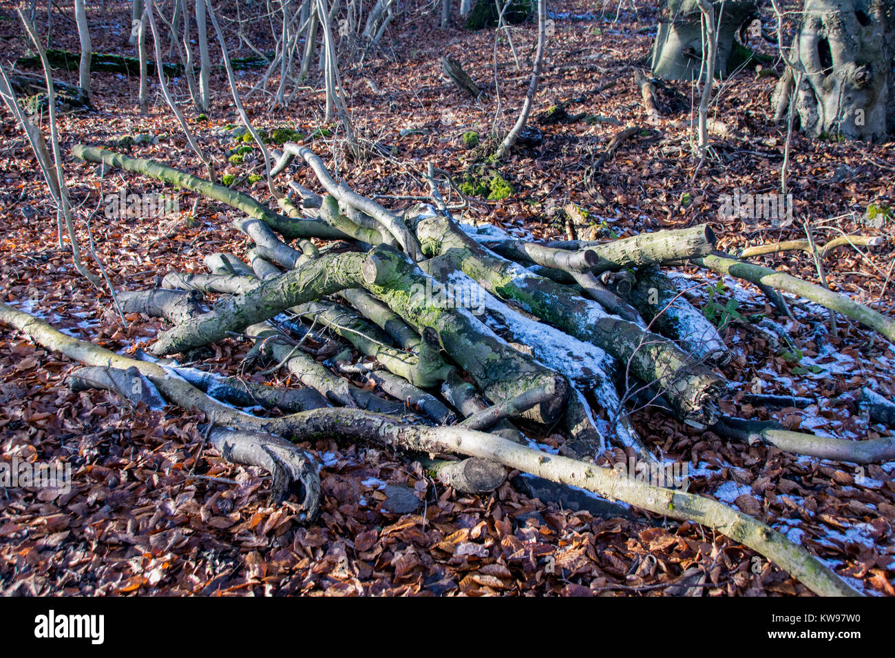 Light dusting of snow texture hi-res stock photography and images - Alamy